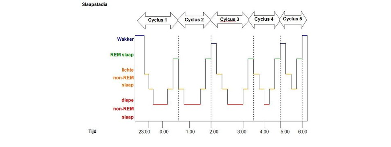Hoe ziet een gezonde slaapcyclus eruit? – HCPonline